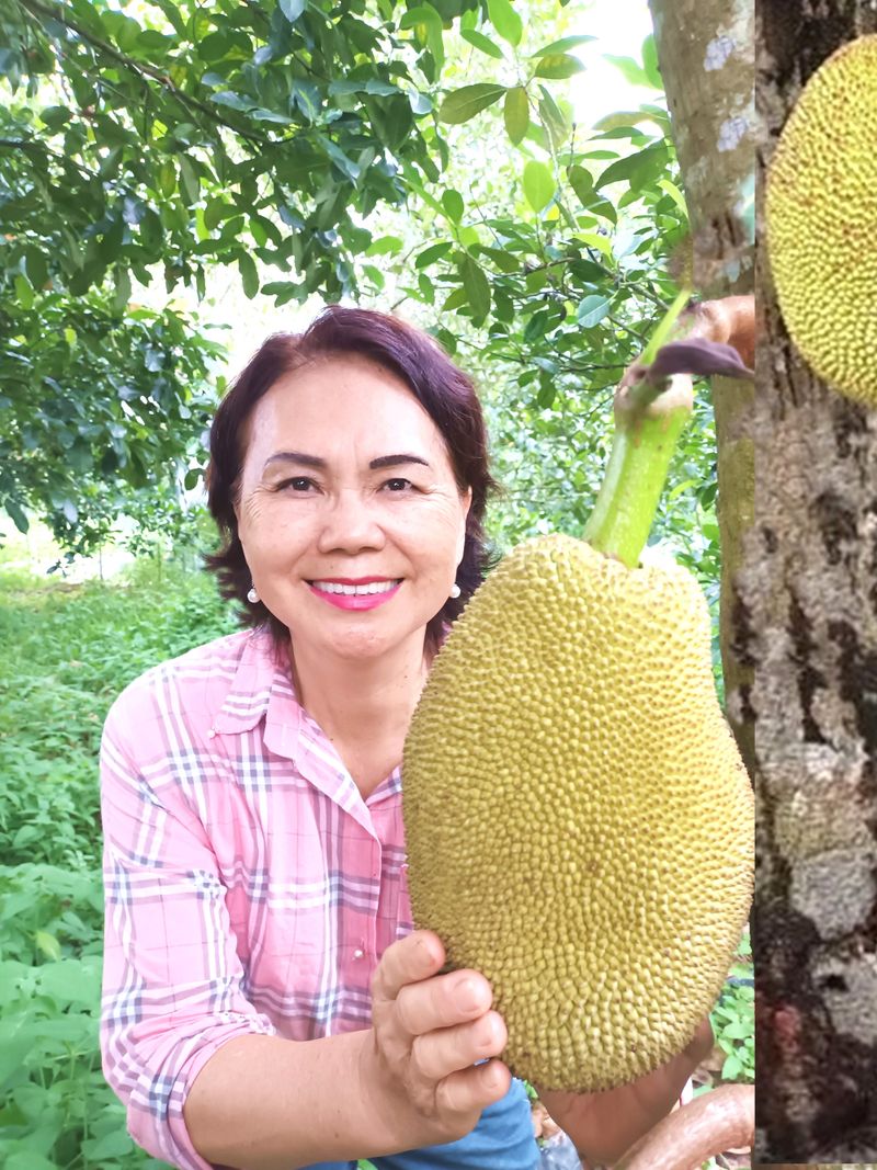 羅拉上菜 菠蘿蜜幼果小纖肉南洋酸辣味料理 by Tai Tai Fon泰泰 風 - 愛料理